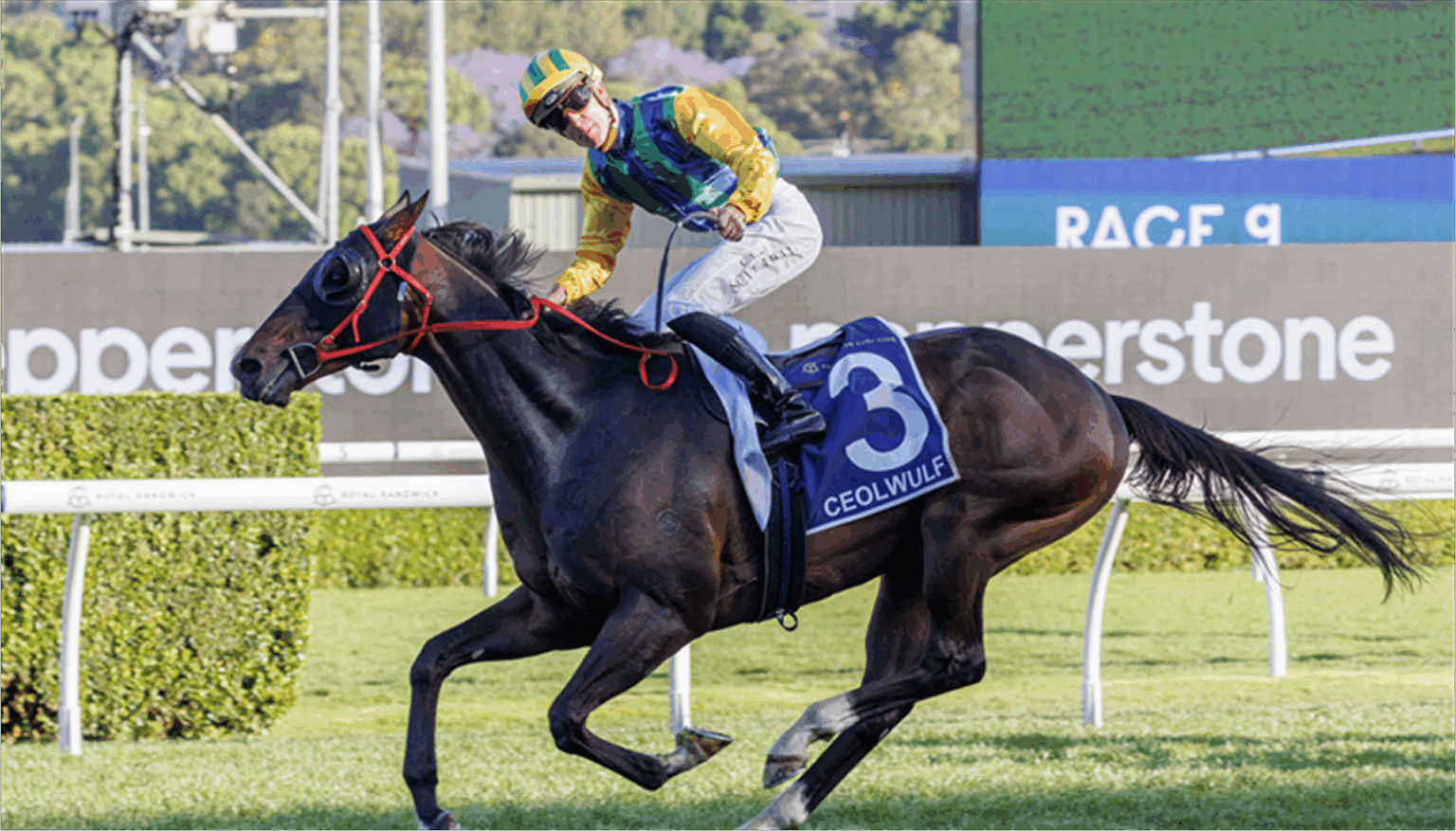 Ceolwulf tuvo un deja vu y coronó el King Charles III Grupo 1 | DRF en ...