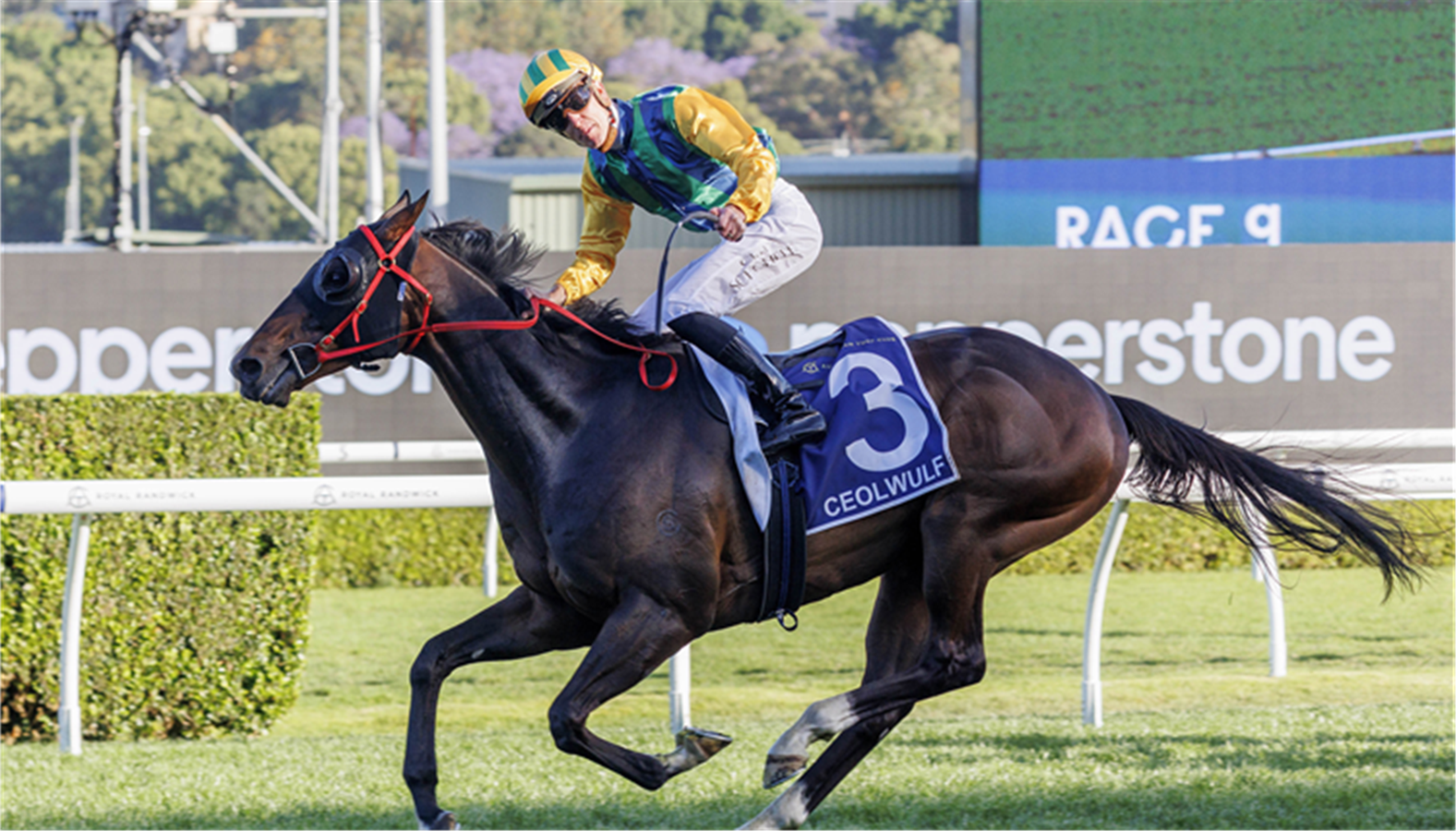 Ceolwulf tuvo un deja vu y coronó el King Charles III Grupo 1 | DRF en ...