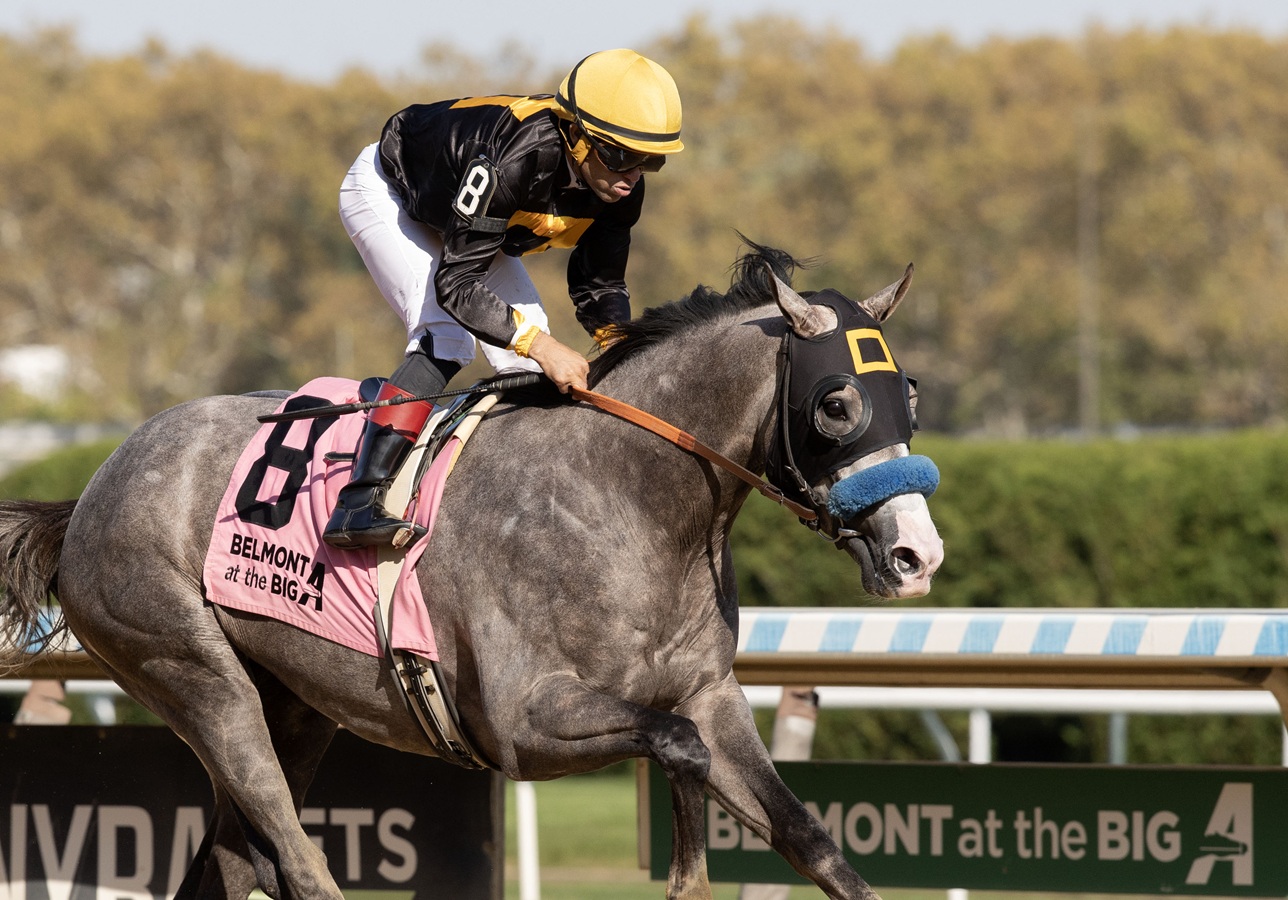 Napoleon Solo desprendido y sin rivales en el Champagne Stakes G1 | DRF en Español