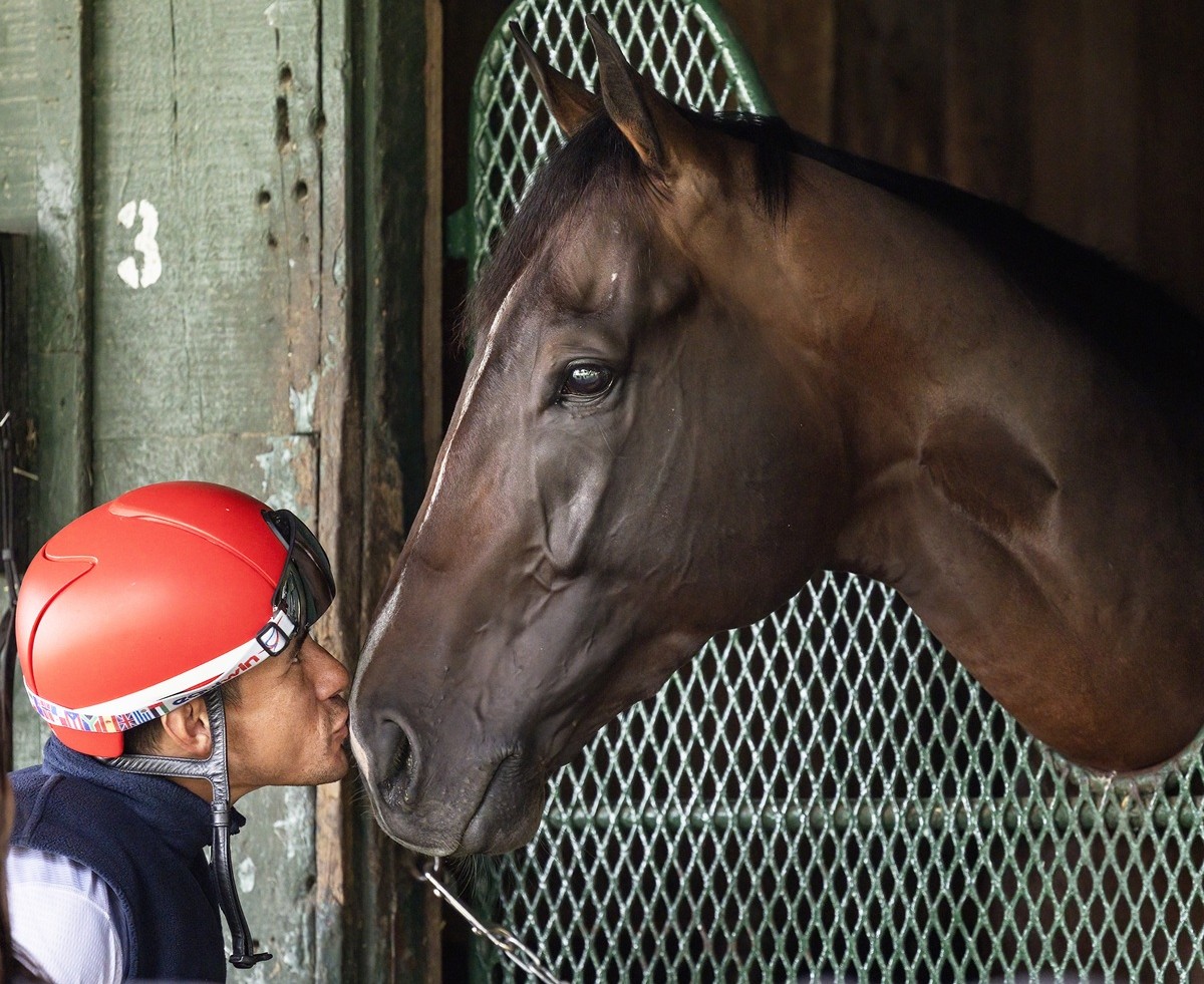 Sovereignty lideró de principio a fin ranking de la Breeders’ Cup ...