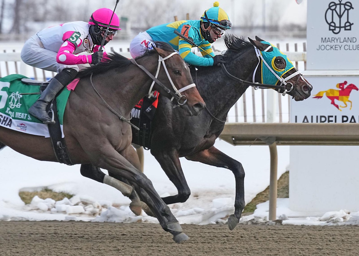 Victory Music impuso su ritmo en el Xtra Heat Stakes | DRF en Español